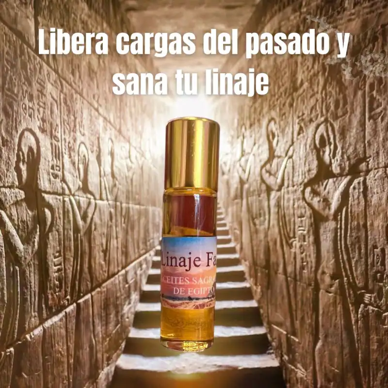 Sinergia Linaje Familiar - Centro KiLau